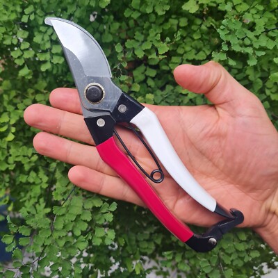 Secateurs Japanese SK5 steel pruning shears Bypass | eBay Australia