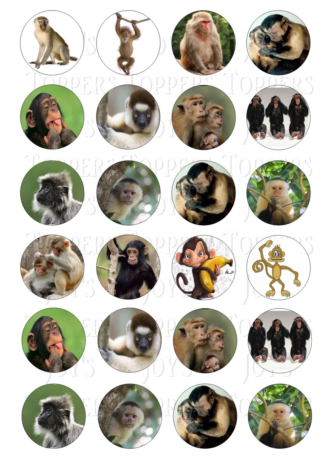 24 MONKEY MONKEYS CUPCAKE TOPPER ICED ICING EDIBLE FAIRY CAKE BUN ...
