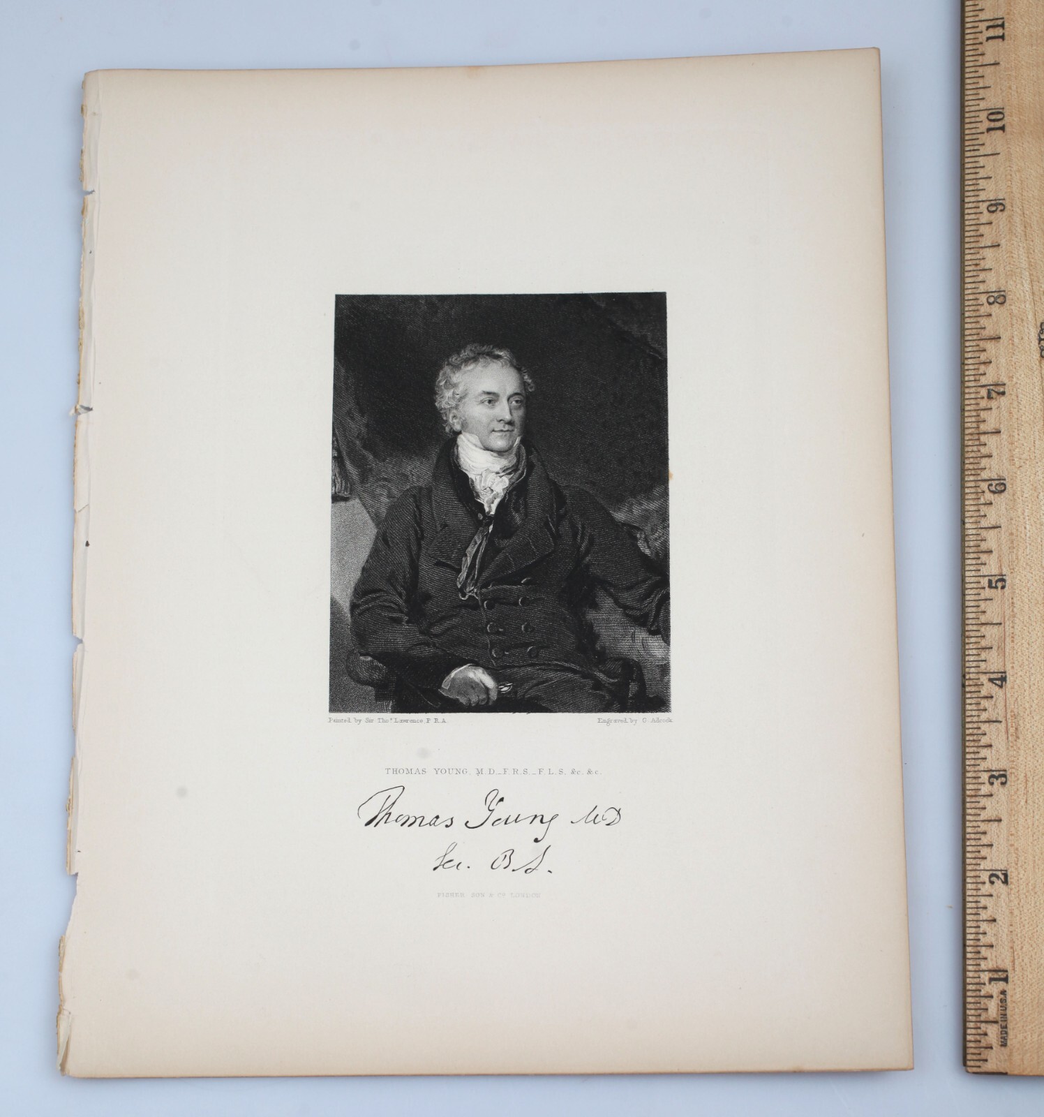 Antique Original 19th Century Engraving Thomas Young British Polymath ...