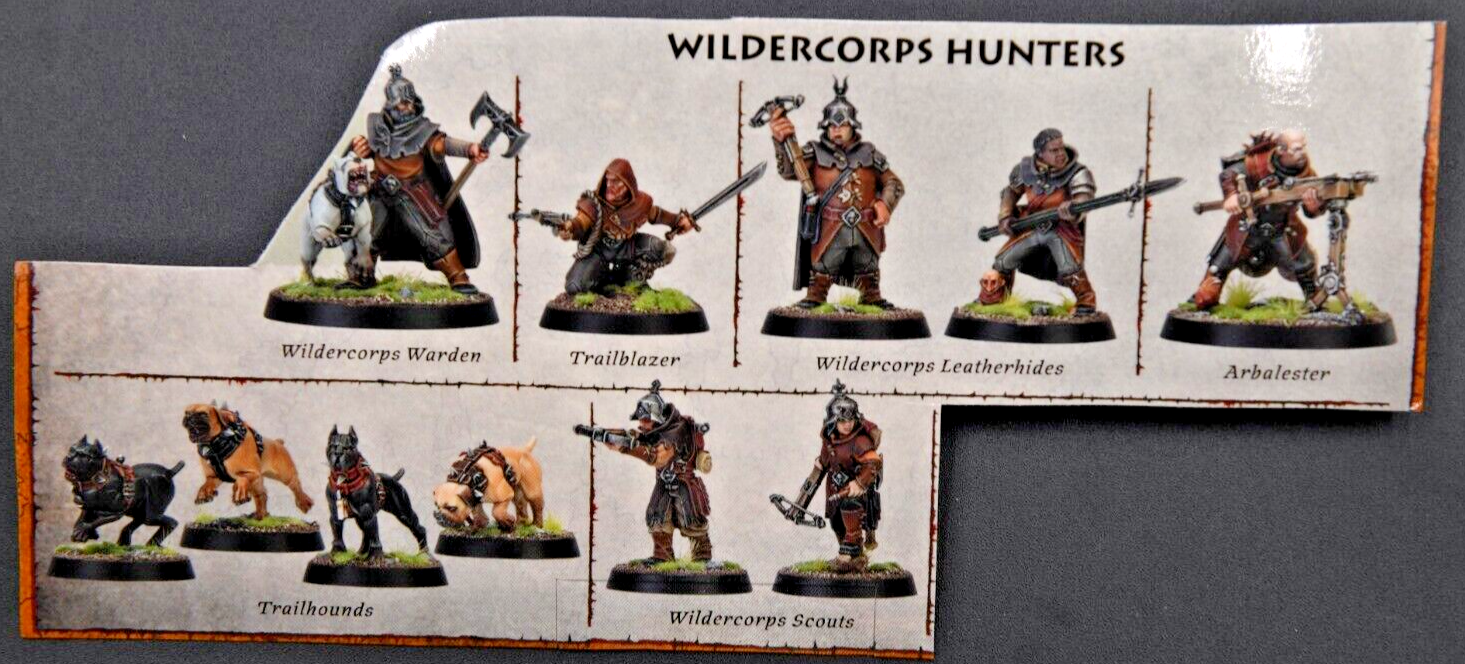 Warhammer AoS Warcry Cities of Sigmar Wildercorps Hunters (11) | eBay