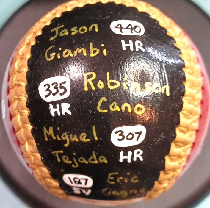 HAND PAINTED BASEBALL PED HALL OF SHAME BONDS AROD SOSA MCGWIRE CLEMENS ...