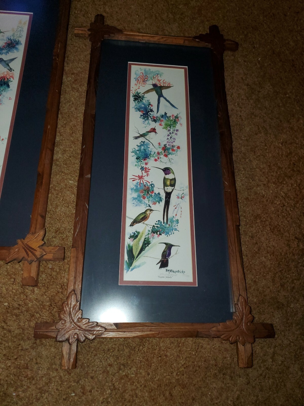 Pair of PM FITZPATRICK Limited Edition Exotic Birds Prints Antique ...