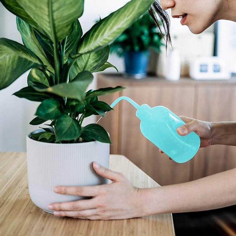 10 PCS 250Ml Wash Bottle Lab Plastic No Spill Bend Mouth Watering Cans ...