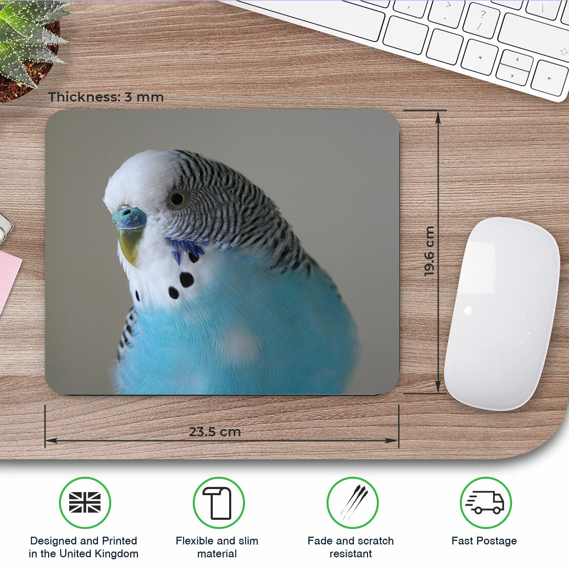 Computer Mouse Mat - Blue Budgie Bird Birds Office Gift #14623 | eBay UK