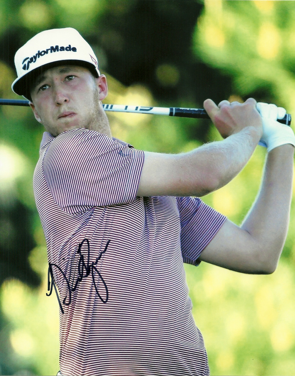 Daniel Berger Hand Signed 8x10 Photo PGA Golf Autograph Signature | eBay