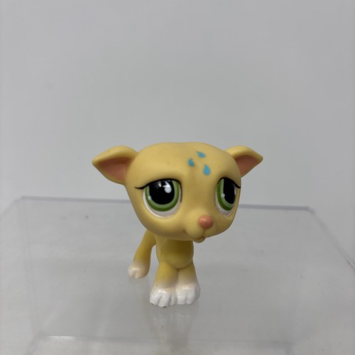 LPS Littlest Pet Shop #875 Yellow Greyhound Wippet Green Eyes | eBay