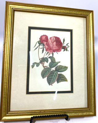 pj redoute SoWIz-m20486832263 | suginamikids.main.jp