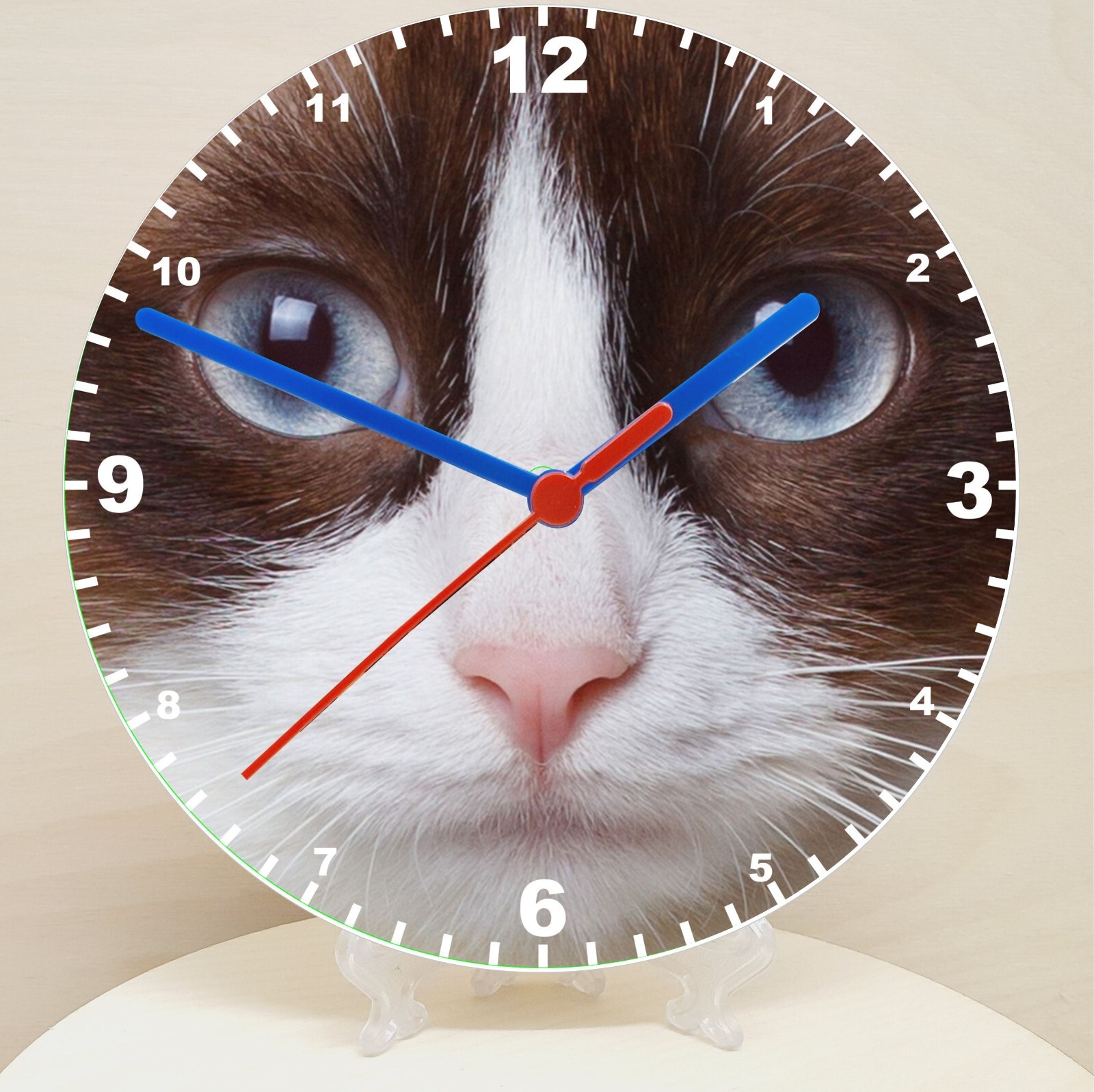 Cat Breeds Quartz Wall Clock or Your Own Picture 200mm or 300m Battery ...