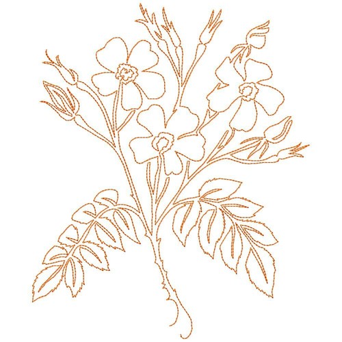 Free Motion Cherokee Rose 10 Machine Embroidery Designs CD in 7 sizes ...