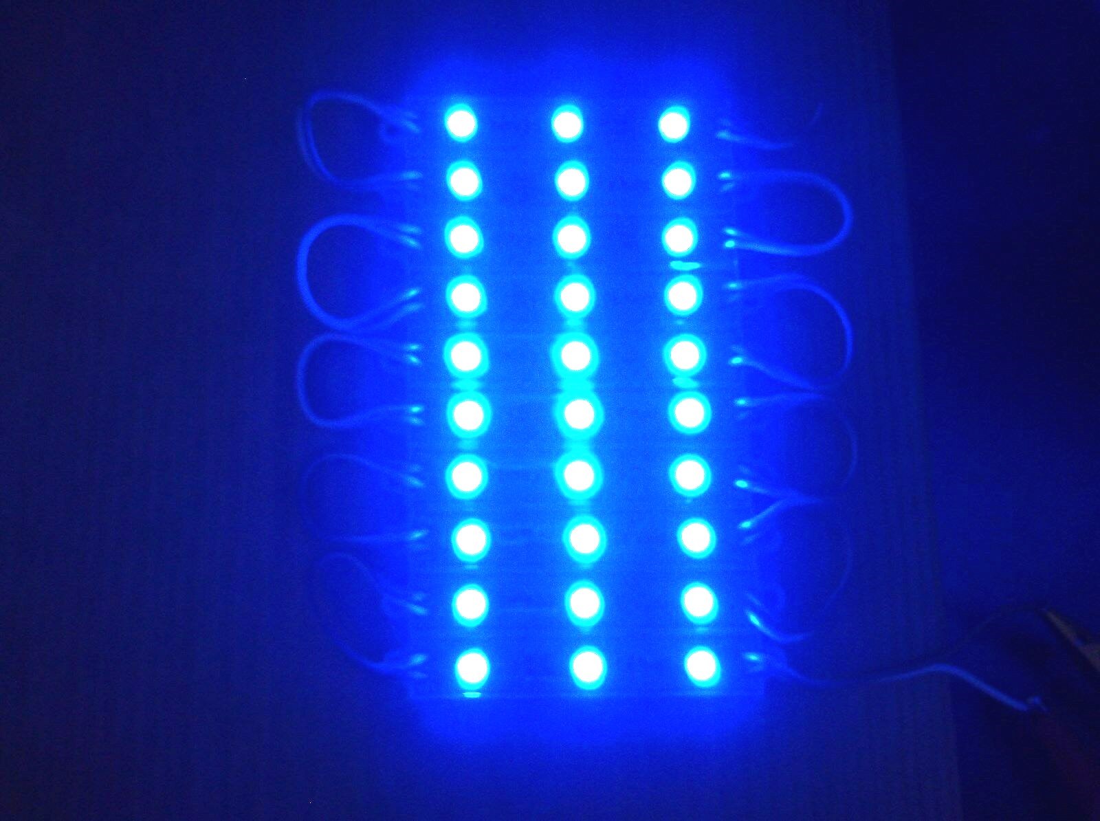 12 BBT 12 volt Blue LED Courtesy Lights | eBay