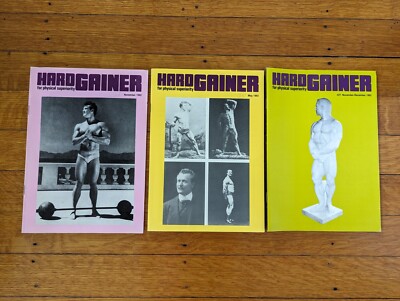 Lot of 3 HARDGAINER Bodybuilding Muscle Strength Magazines, Issues 21 ...