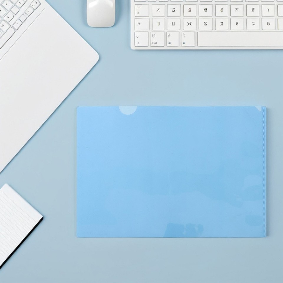 24 Pcs Plastic Document Holder Clear Folders for Documents File ...