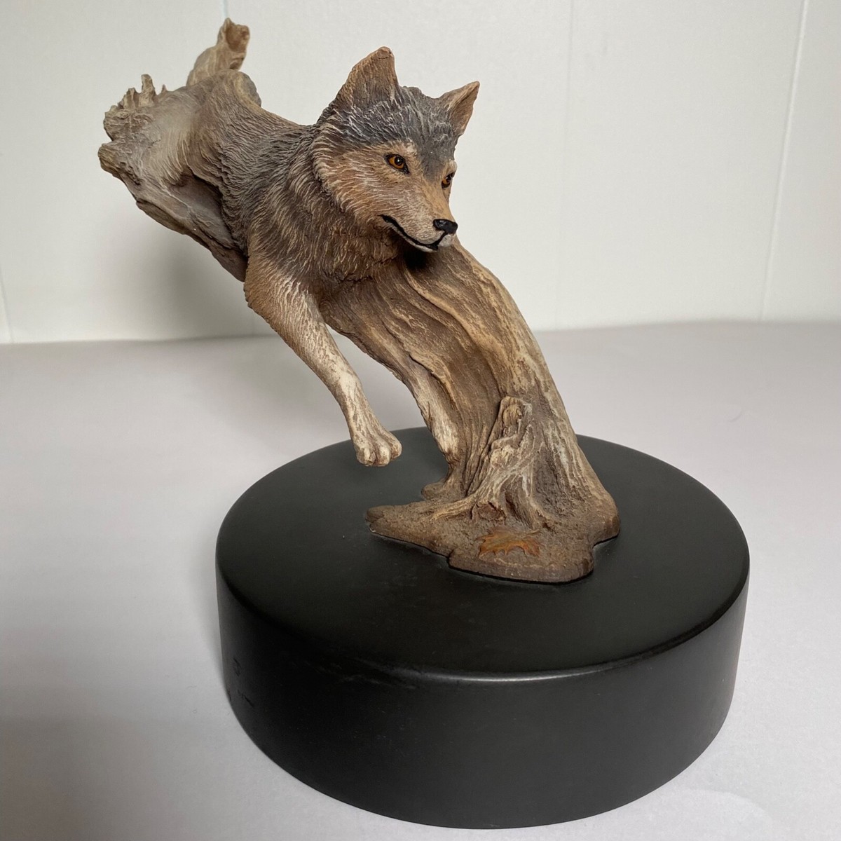 Wolf Photographs A Leaping Wolf Dramatic Black Wolf In Mid Leap