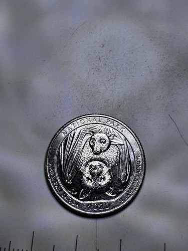 2020 W Bat Quarters V75 | eBay