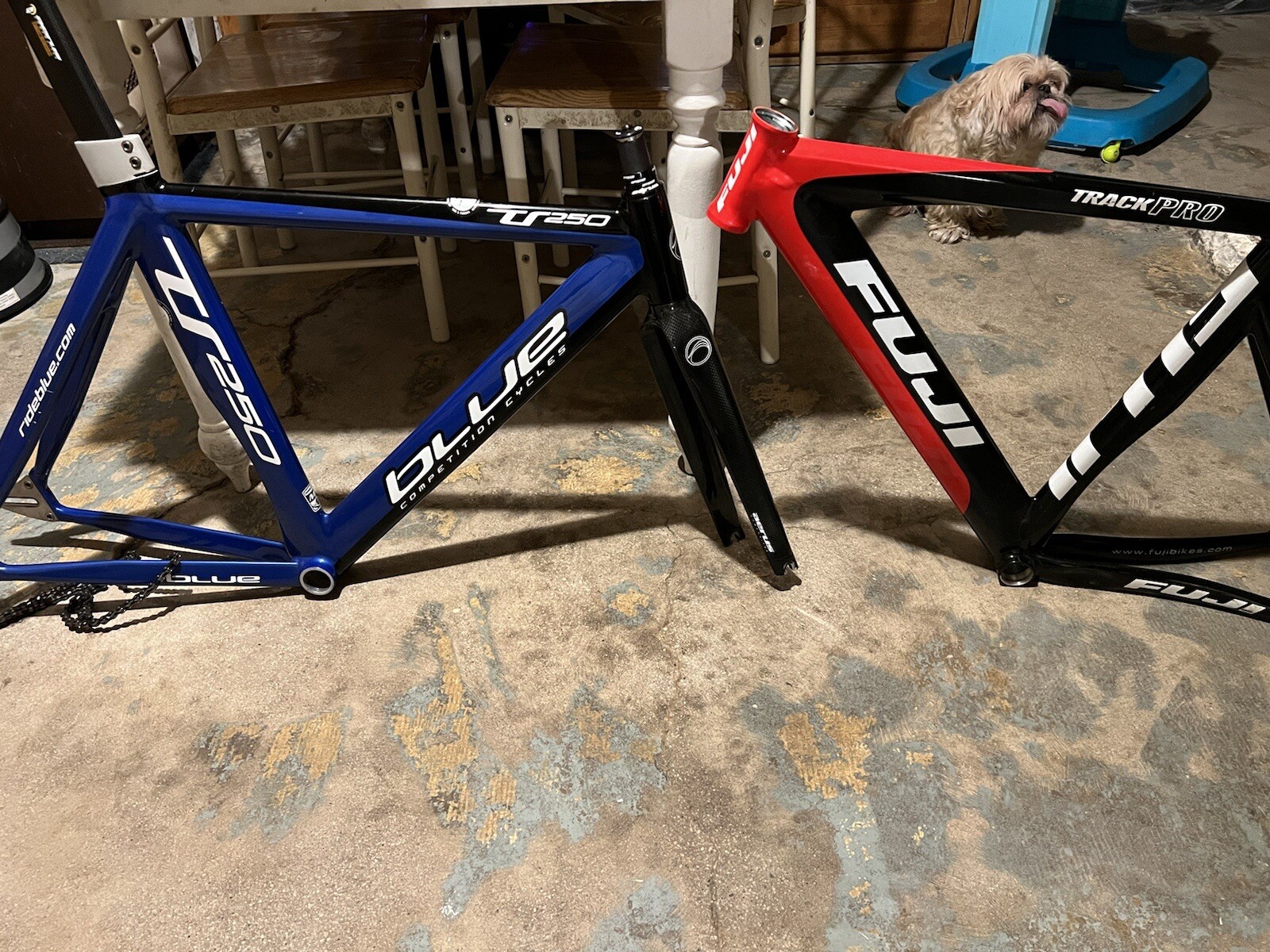 Blue Tr250 Track Bike | eBay