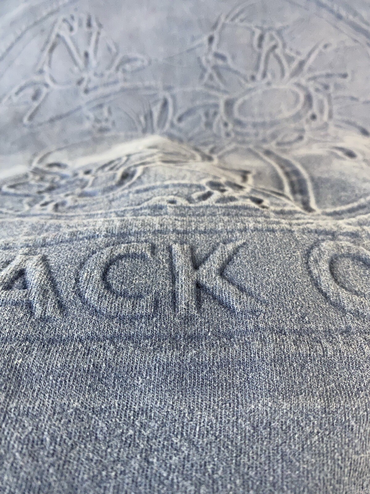 Vtg 90s Looney Tunes Tweety Bird Back Off Raised Sing… - Gem