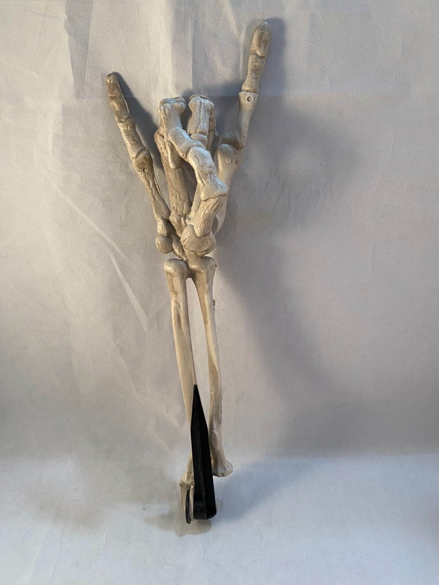 Halloween Skeleton Arm And Hand