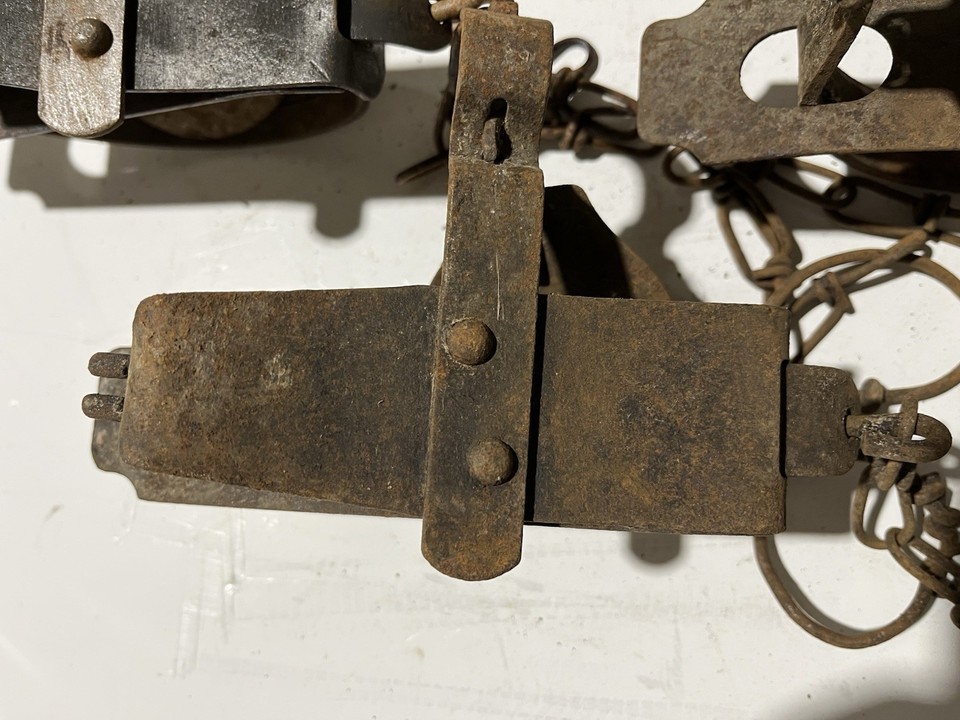 Lot Of (5) Five Victor Oneida Jump #2 Spring Traps | eBay