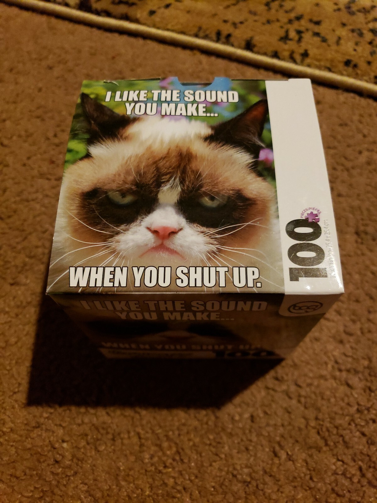 Angry Cat Shut Up
