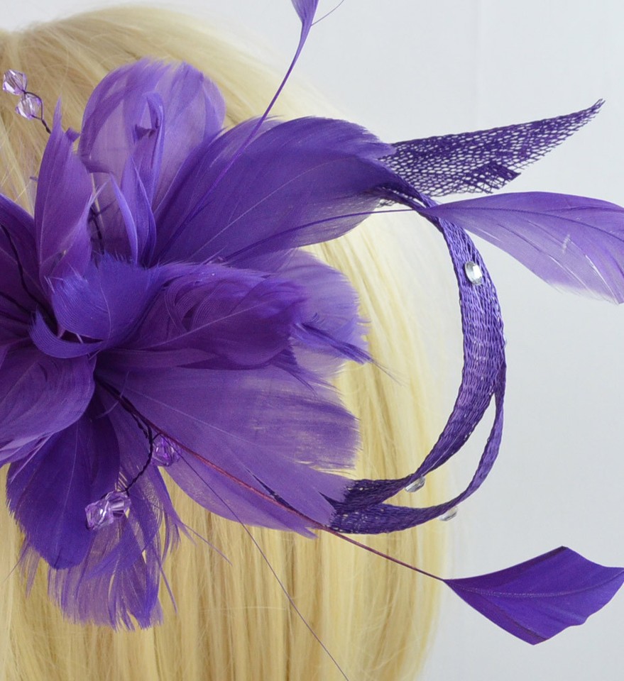 Spring Race Carnival Melbourne Cup Feather Fascinator Headband Clip ...