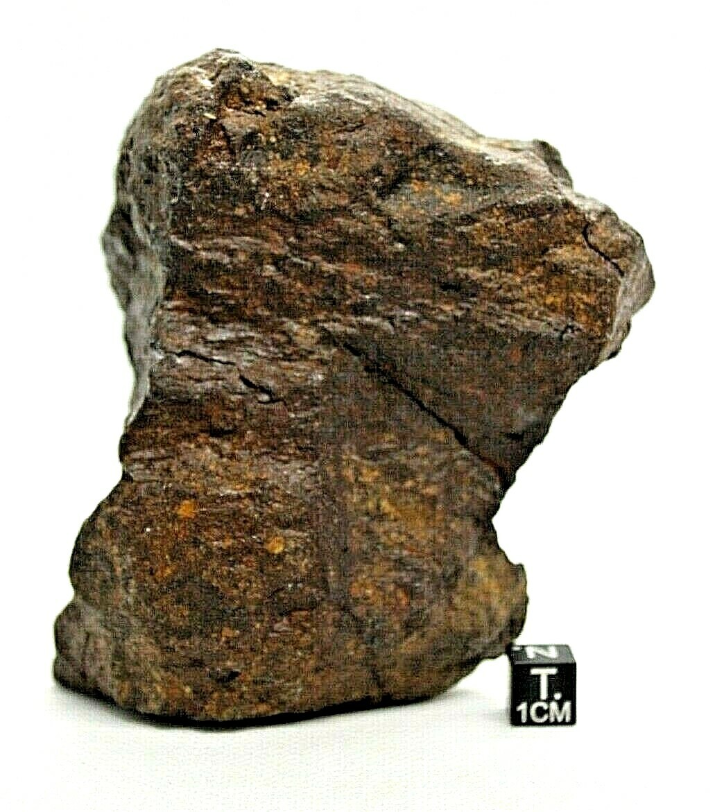 Meteorite NWA 13242 L4 Chondrite meteorite 619 grams | eBay