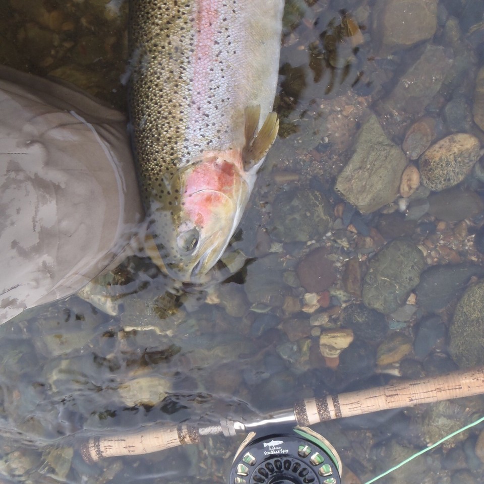 Irideus Pick 30 patterns Trout Steelhead Streamer Fly Fishing Flies ...