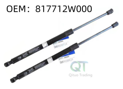 Genuine ！！！817712W000 Lifter Assy-Tail Gate For HYUNDAI SANTA FE 2012 ...