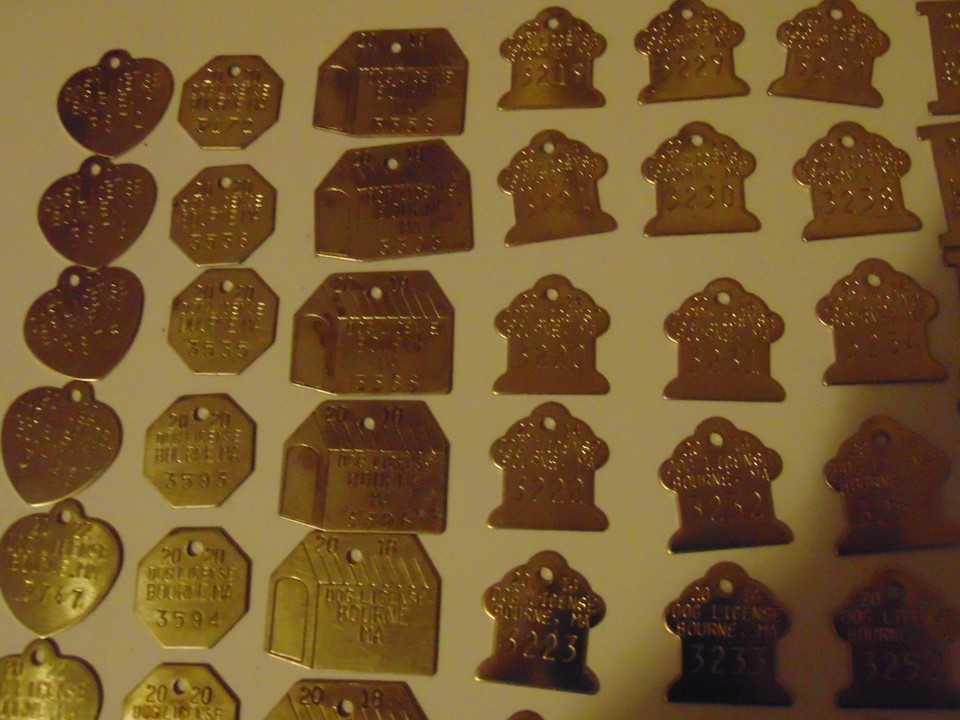 Lot of 100 Brass Dog License Tags Misc shapes Bourne Ma State Town | eBay