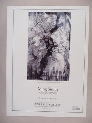 Ming Smith MAGAZINE AD - 2010 | eBay