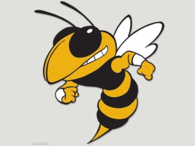 Georgia Tech Yellow Jackets "Buzz" Decal | eBay