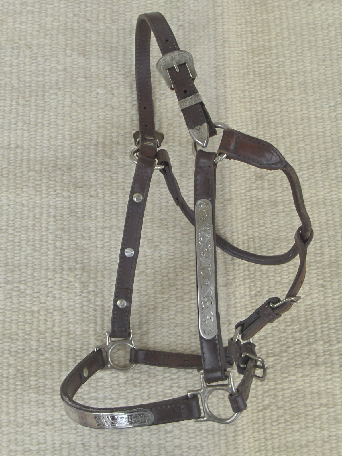 CIRCLE Y LEATHER WESTERN SHOW HALTER with SILVER@@ | eBay