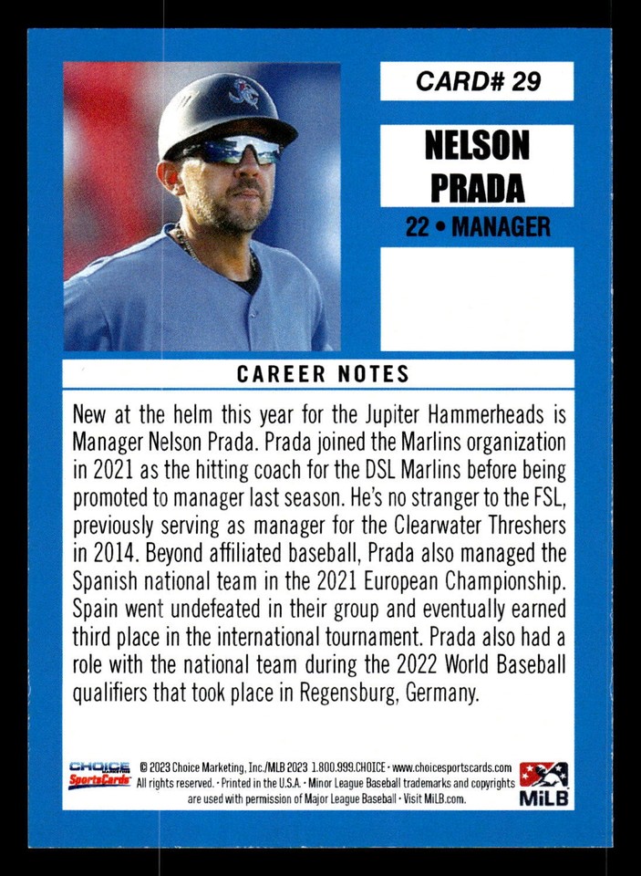 Nelson Prada 2023 Choice Jupiter Hammerheads #29 Jupiter Hammerheads | eBay