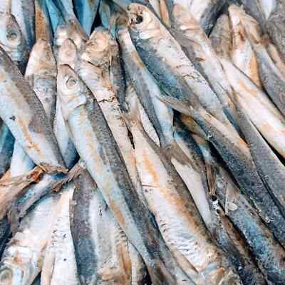 Dried Salted Linna Fish Karawala Seafood Bulk 100% High Quality Pure ...