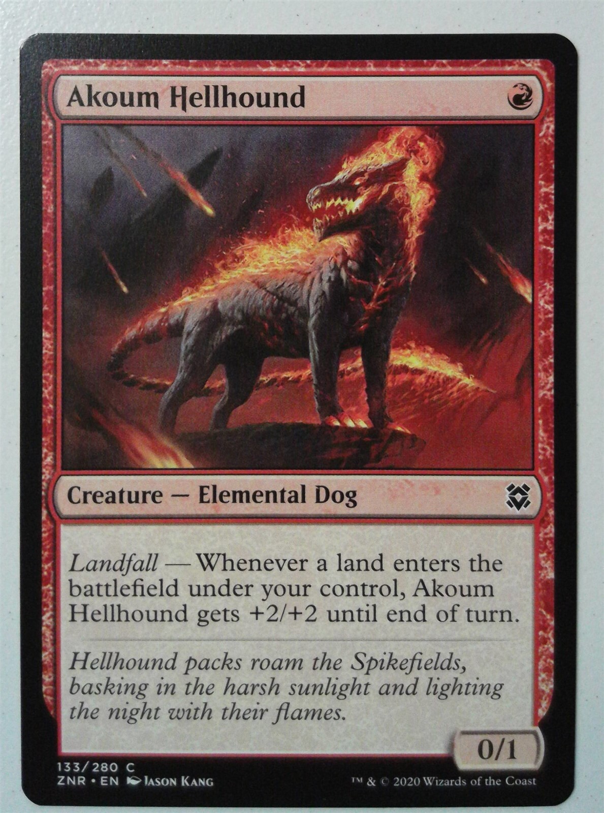 Akoum Hellhound *Common* Magic MtG x1 Zendikar Rising | eBay