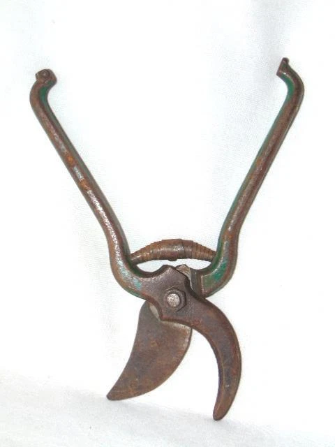 Vintage Garden Shears
