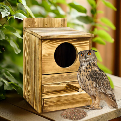Large Handmade Wood Barn Screech Owl Box Bird Houses with Mounting ...