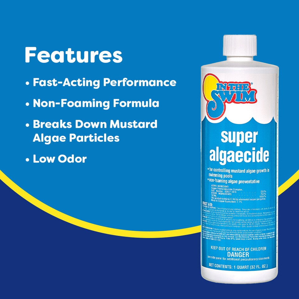 In The Swim Super Algaecide For Above Ground or Inground Swimming Pools ...