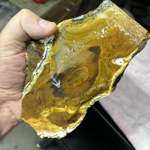 Bustedflakes | eBay Stores