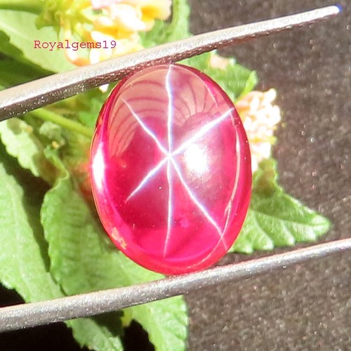 6.00-8.00 Carat. Pink Ruby Star Sapphire Oval Cabochon Gemstones 9x13x4 mm Size | eBay