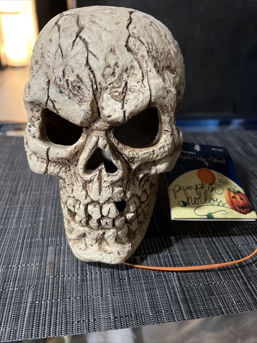 Pumpkin Hallow Battery Operated Light Up Skull | eBay