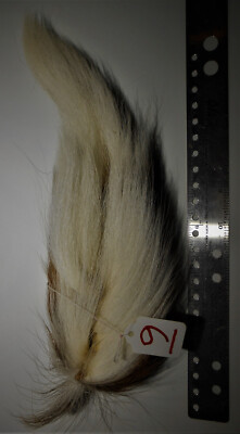 Colonel Beauxs Premium Select "JUMBO" Pennsylvania bucktail! | eBay