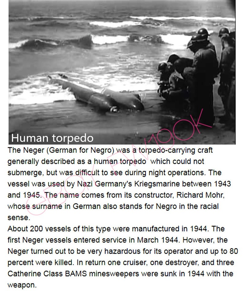 TAKARA Ships of the World 1/72 German Marder/Kriegsmarine Neger Human ...