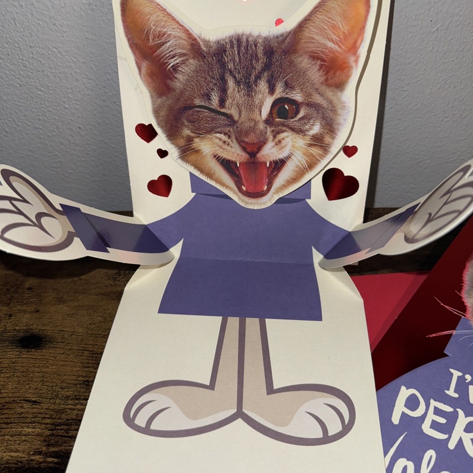 Hallmark Cat Valentine’s Day card With Envelope (3-D Effect ) Lot Of 2 ...
