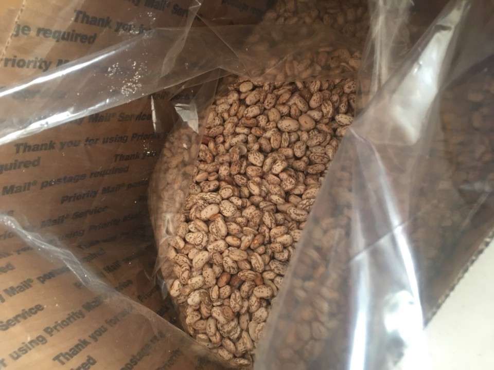 54 lbs Pinto Beans New Triple Clean U.S. No. 1 Crop total 54 pounds El ...