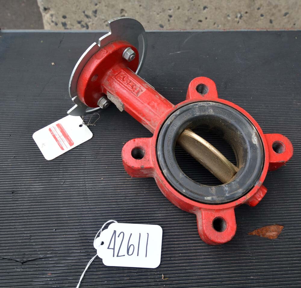 Bray SERIES31 Resilient Seated Butterfly Valve - Red for sale online | eBay