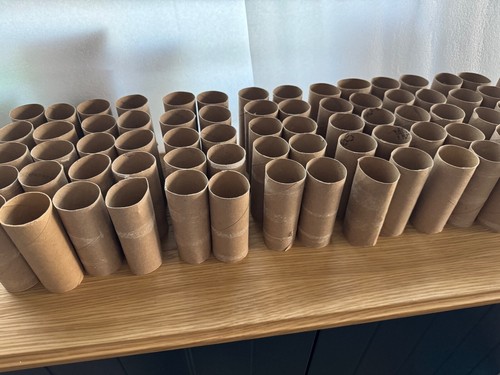 75 Clean Empty Toilet Tissue Paper Rolls TP Tubes Crafting DIY Party ...