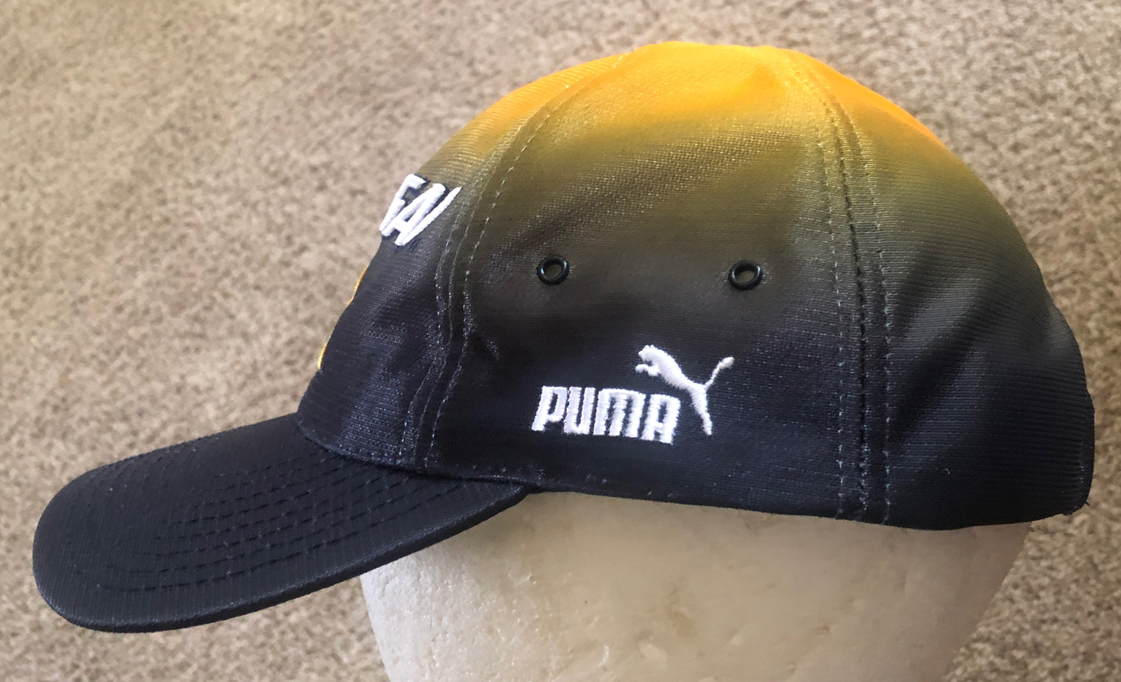 Michigan Wolverines Big House PUMA Adjustable Strapback cap hat Block M ...