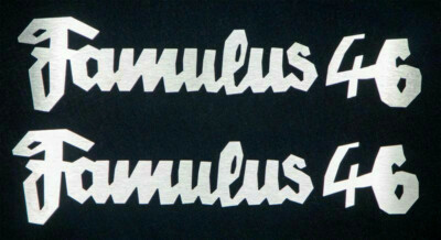 2x Famulus 46 Schriftzug Typenschild aus Edelstahl Schild Traktor ...