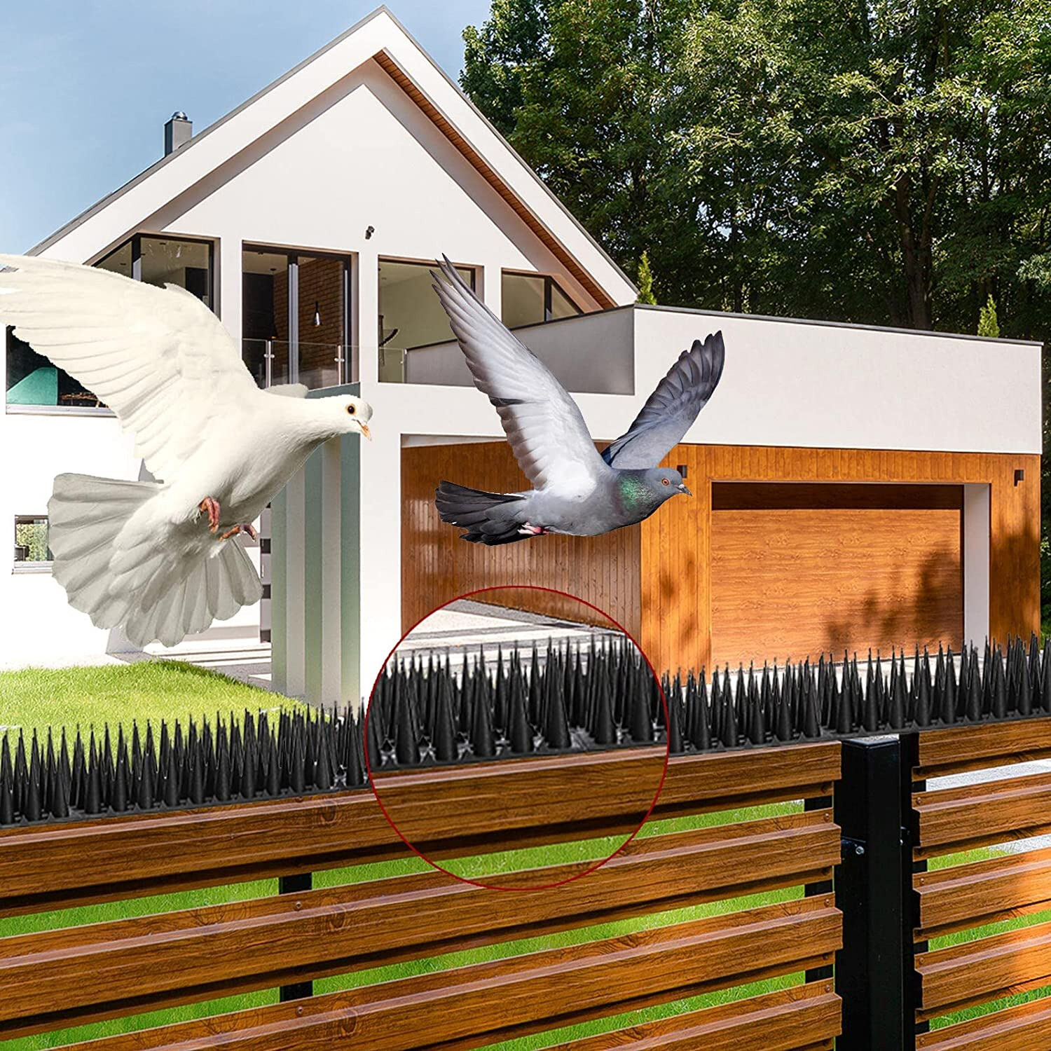 48/60 Bird Spikes Deterrent Anti Cat Human Possum Spike Fence Mouse ...