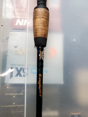 Spinning - Fenwick Eagle Graphite